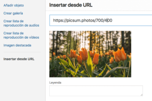 Picsum Photos, imágenes de prueba, el Lorem Ipsum de las imágenes ...